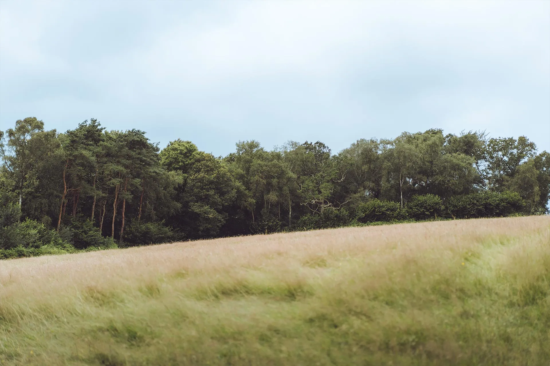 Agriculture - Heaver Group